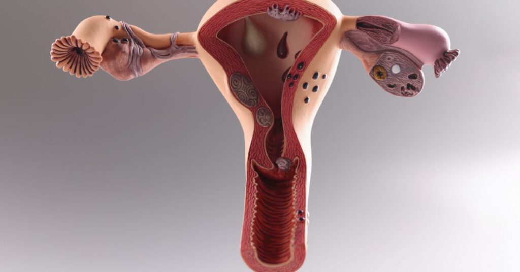 Can Damaged Fallopian Tubes Heal?